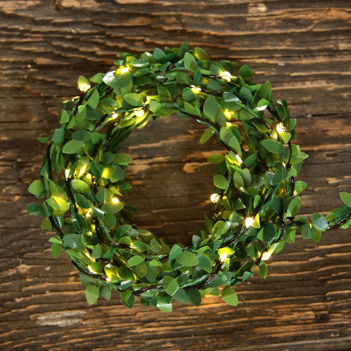 Greenery Battery Fairy Lights – Penelopetom